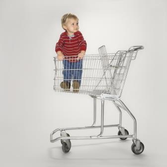 Jesse Won't Sit in the Shopping Cart! - Early Intervention Strategies ...